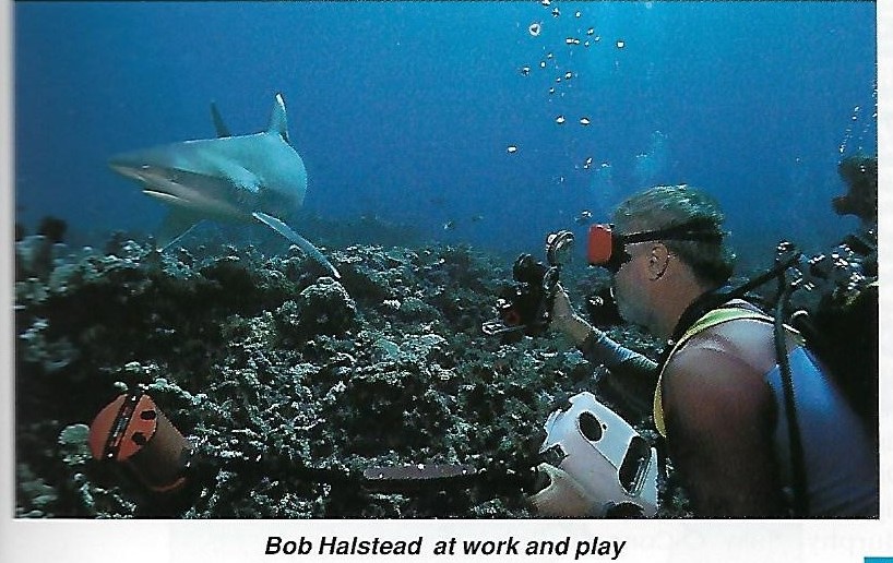 Bob Halstead – Adventurer – NEKTONIX