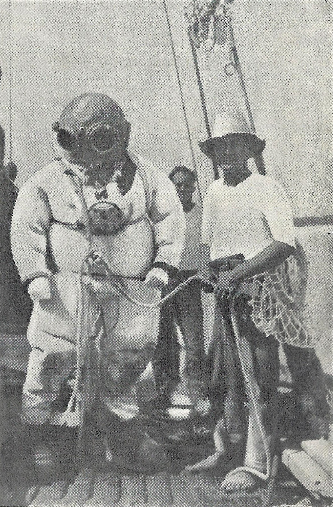 The Pearl Diver* – NEKTONIX